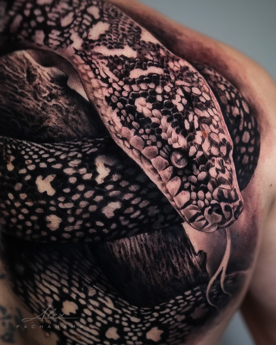 Alex - Pachamama Tattoo
